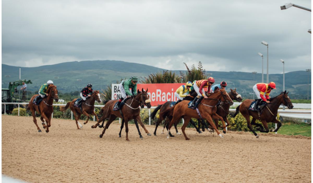 Bar One Racing Dual Race Day & Family Fun Day at Dundalk Stadium ...